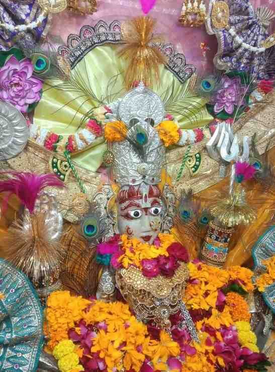 श्री आमज माता मंदिर की वर्षगांठ महाप्रसादी और ध्वजारोहण महोत्सव 28 ...