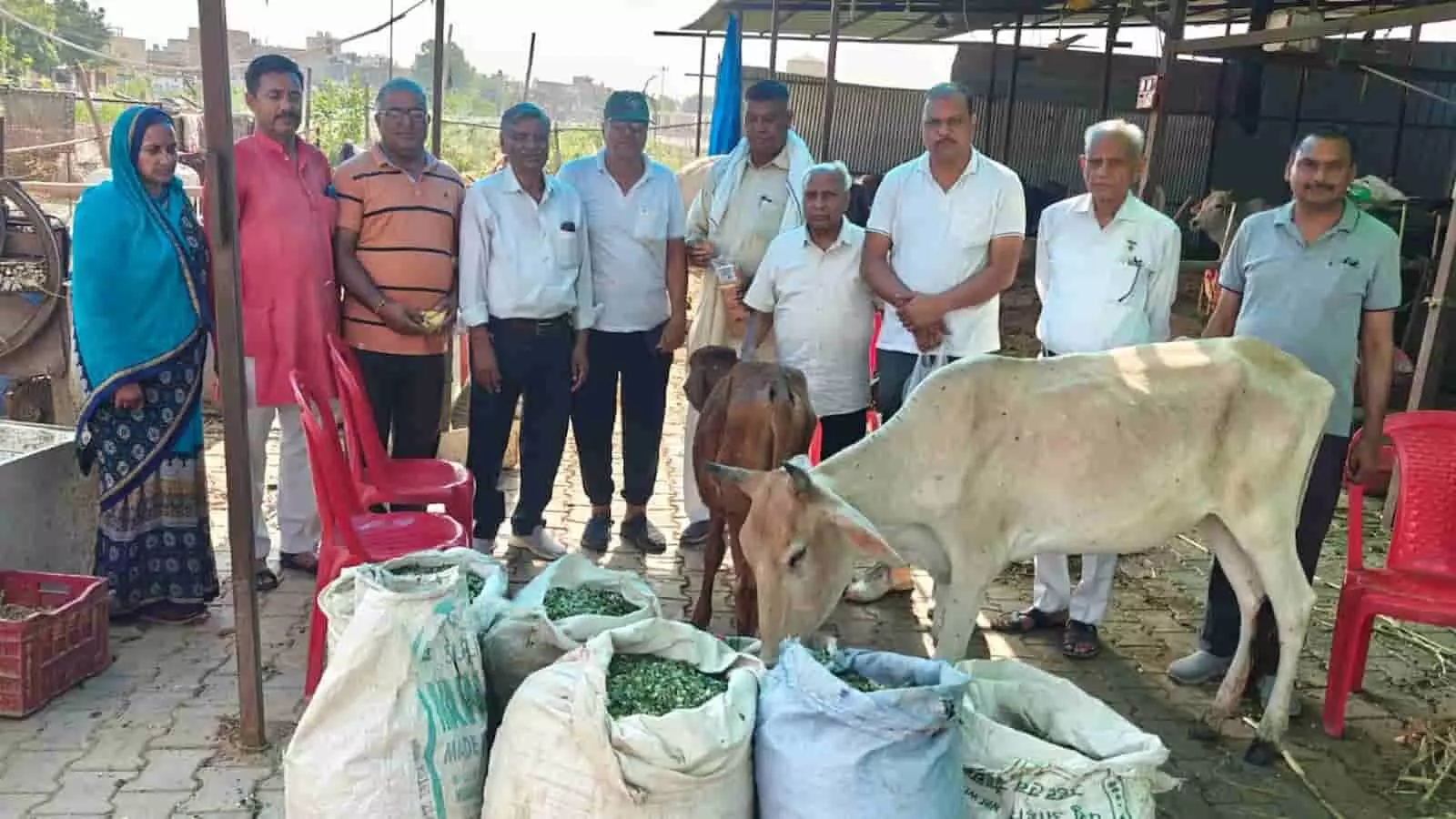 भरतपुर में गौसेवा कार्यक्रम, गौशाला व शेल्टर होम में जीव सेवा ...