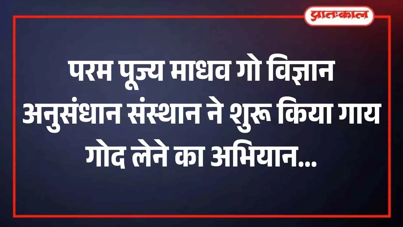 गौ माताओं के चारे की व्यवस्था के लिए आगे आए समाजसेवी, 200 गायों को गोद ...